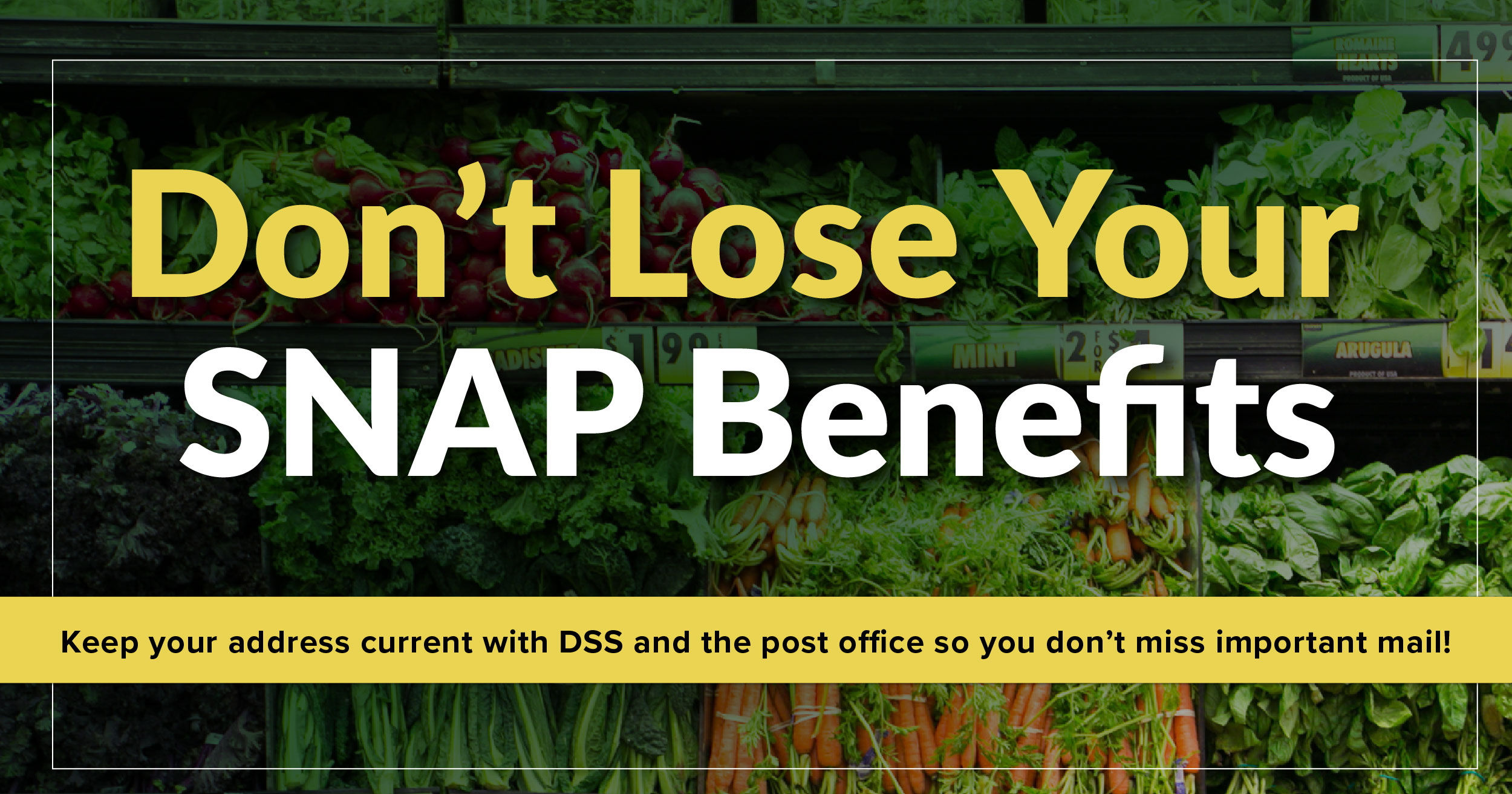 Monroe County, NY - SNAP Communications Toolkit